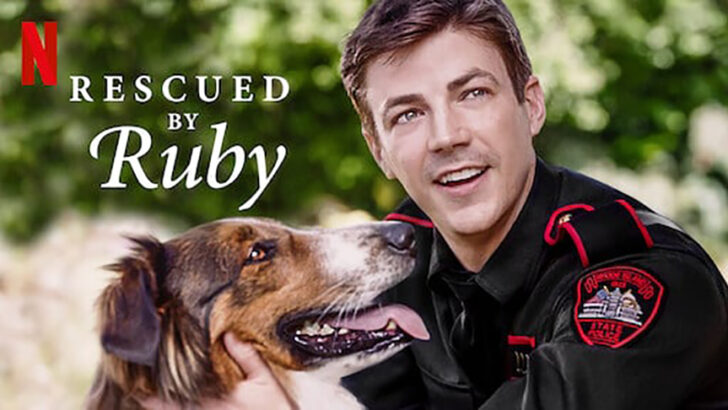สุนัขฮีโร่ตัวจริง ต้นเรื่องหนังดังเน็ตฟลิกซ์ Rescued by Ruby ถูกการุณย ...