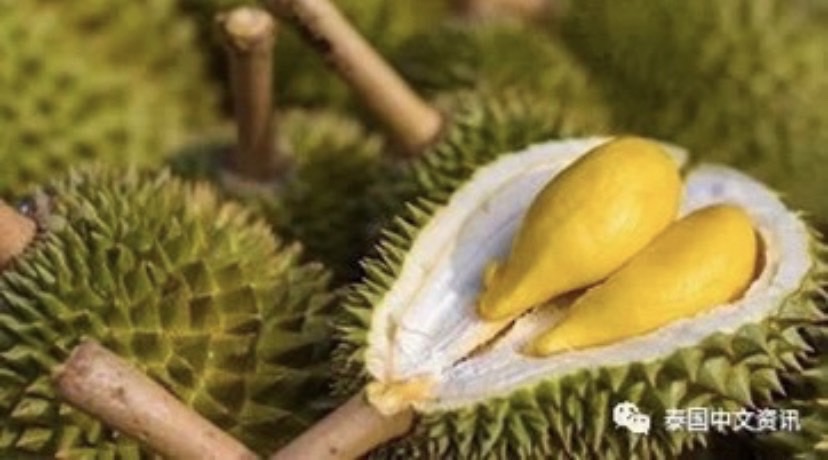 ทุเรียนไทยแพงแค่ไหนก็ขายหมดเกลี้ยง ซินหัว ตีข่าวชาวจีนรอซื้อคึกคัก