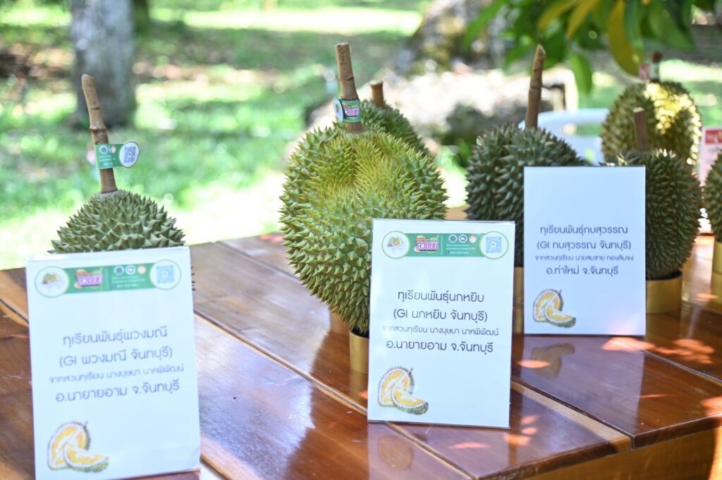 ทุเรียนไทยแพงแค่ไหนก็ขายหมดเกลี้ยง ซินหัว ตีข่าวชาวจีนรอซื้อคึกคัก