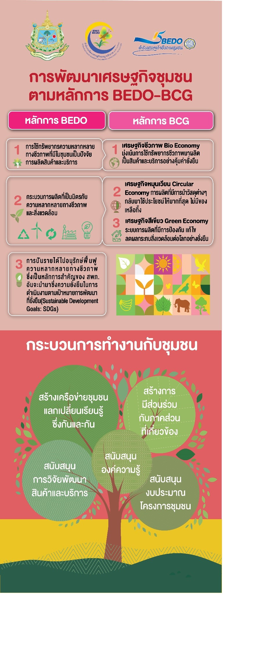 BEDO เชิญร่วมงาน 15 ปี BEDO ตำรับเศรษฐกิจชีวภาพชุมชน พร้อมเลือกซื้อ ...