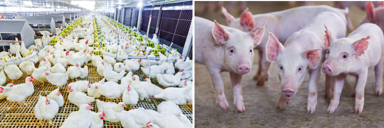 TFG ฟอร์มสวย! กำไร Q3/65 โตกระฉูด 480.53%