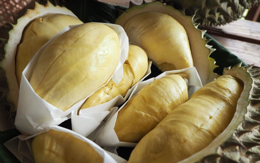 เช็กพิกัด สั่ง ‘ทุเรียนภูเขาไฟศรีสะเกษ’ ออนไลน์ ส่งตรงจากสวน