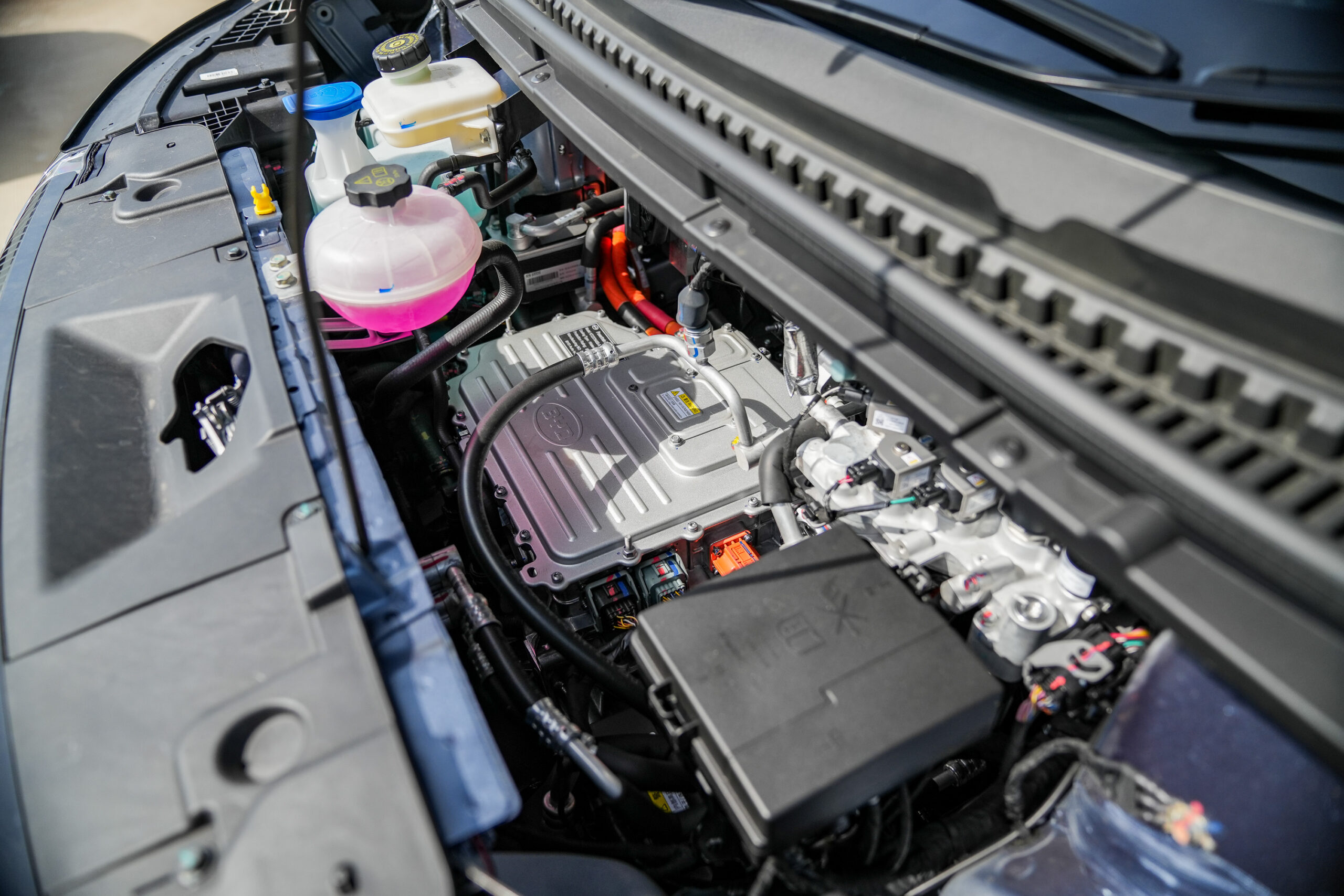 BYD Dolphin "ซิตี้คาร์" มีหนาว