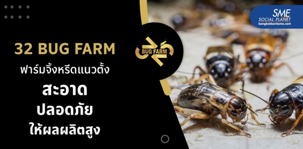 32 BUG FARM นวัตกรรมฟาร์มจิ้งหรีดแนวตั้ง สะอาด ปลอดภัย ให้ผลผลิตสูง