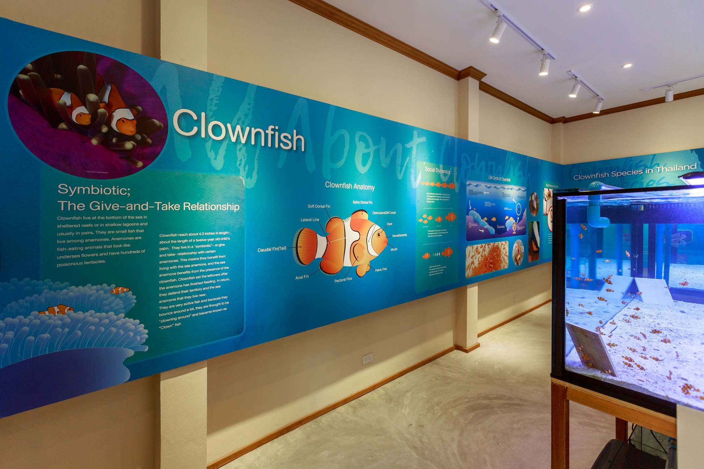 เอสโฮเทลฯ ชู Eco-Luxury เจาะกลุ่มนักท่องเที่ยวสายรักษ์โลกเข้าพัก