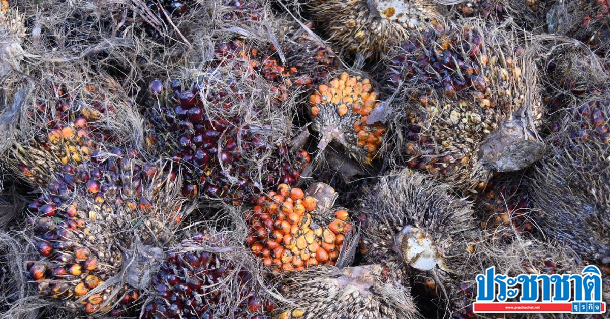 TPS - ข่าวสาร - SETTRADE.COM