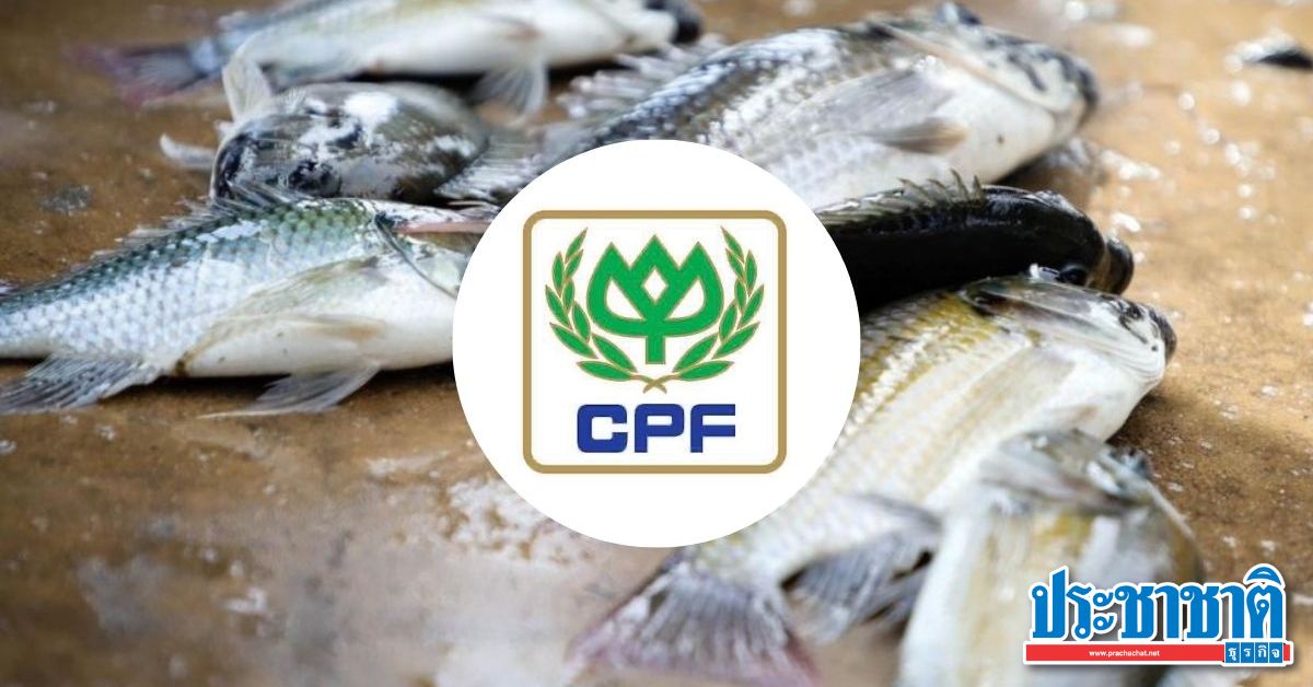 CPF - ข่าวสาร - SETTRADE.COM