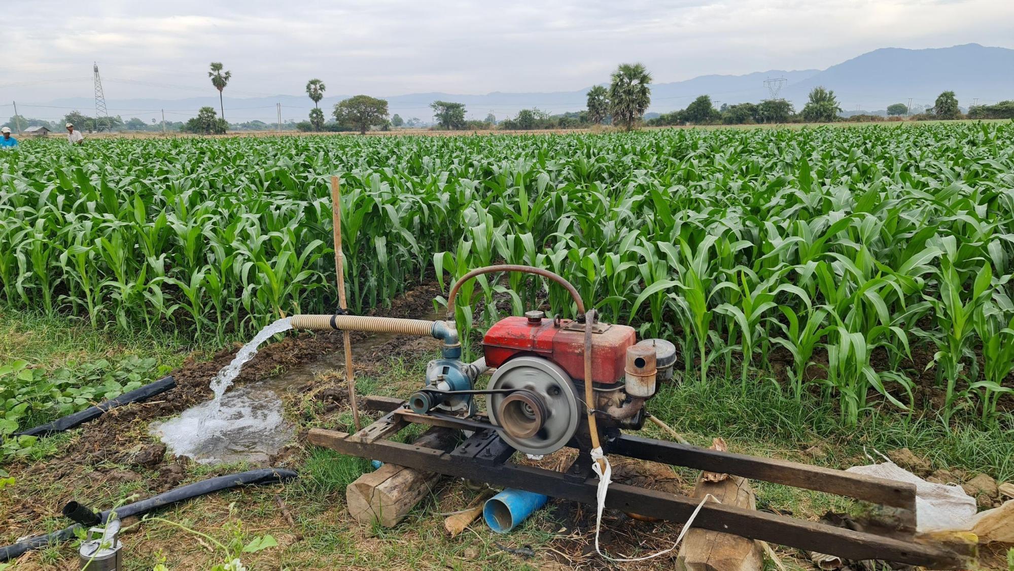CPP Myanmar ขับเคลื่อนการพัฒนาแหล่งน้ำช่วยเหลือเกษตรกร สู่การมีรายได้ ...