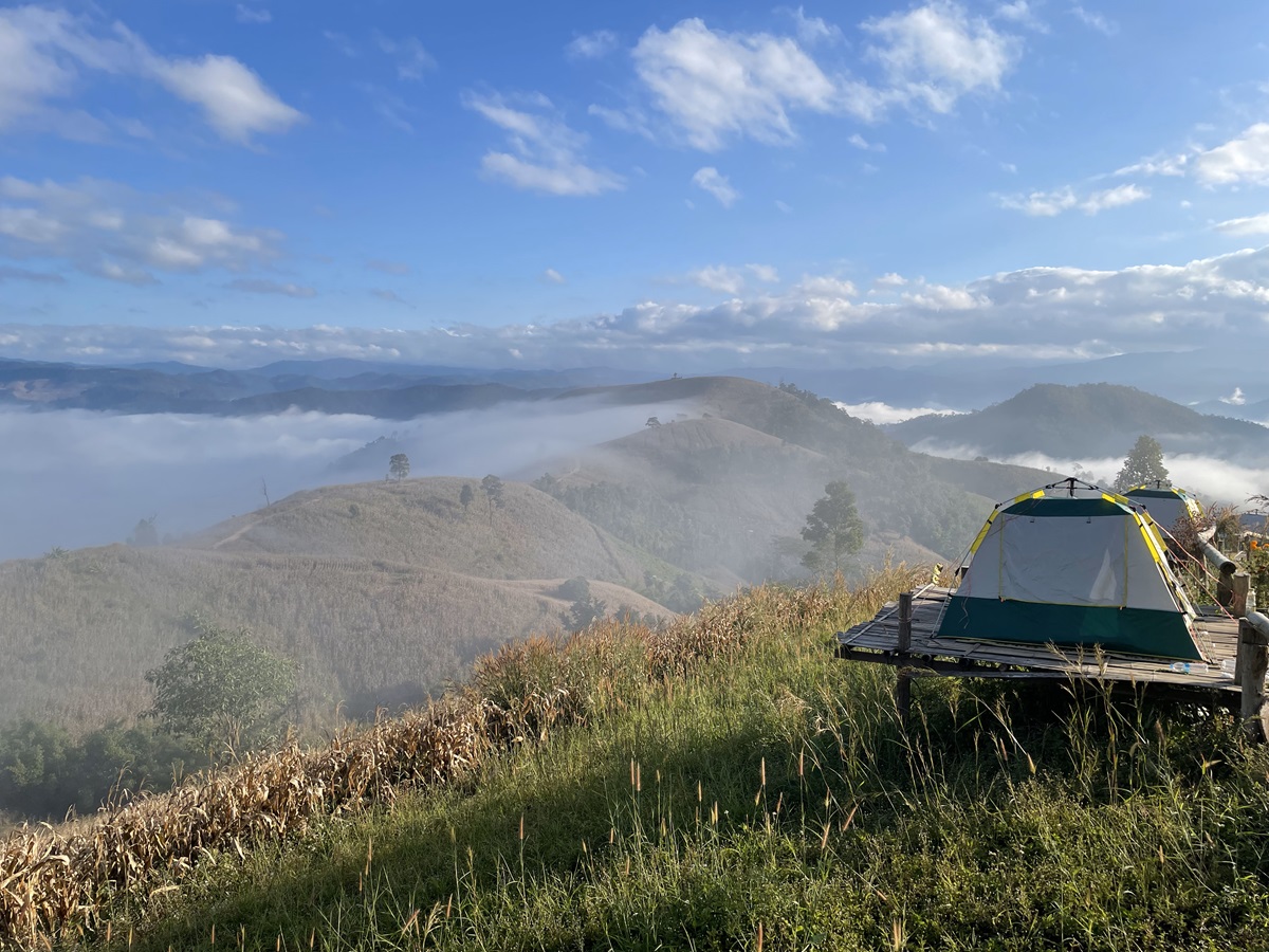 พยากรณ์อากาศปีใหม่ 2568 กรมอุตุฯเตือนเย็นลงอีก 2-4 องศา ลมแรง