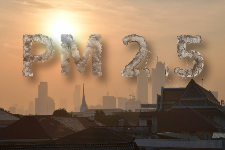 ม.เกษตรฯ ยืนยัน การเผา-การจราจร ต้นตอฝุ่น PM 2.5 ในพื้นที่ กทม.