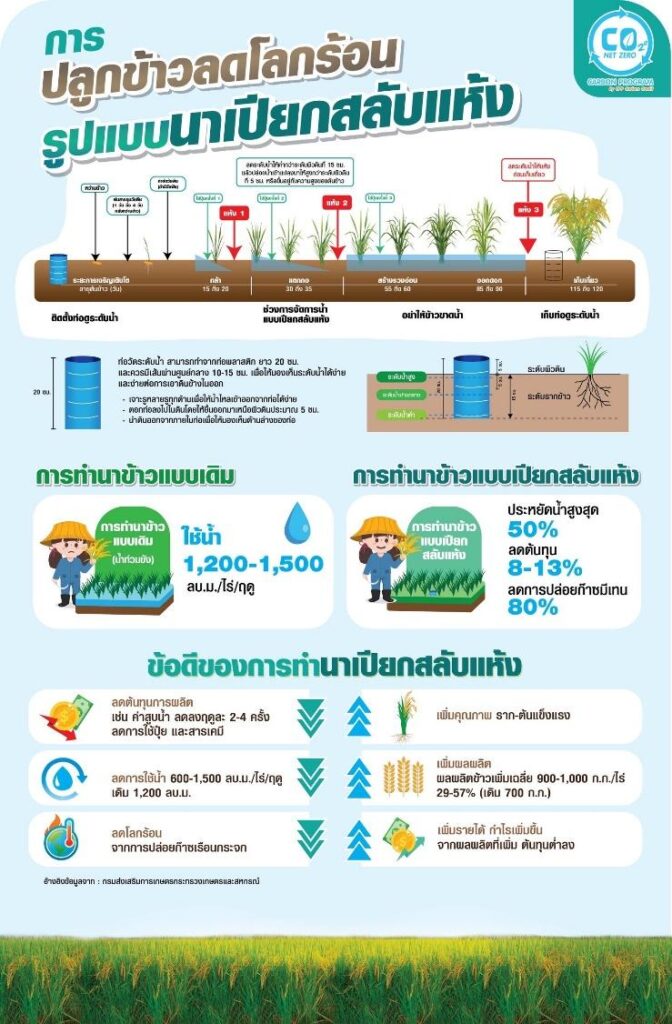 ข้าวตราฉัตร เปิดตัว "ข้าวรักษ์โลก" คาร์บอนต่ำรายแรกในไทย