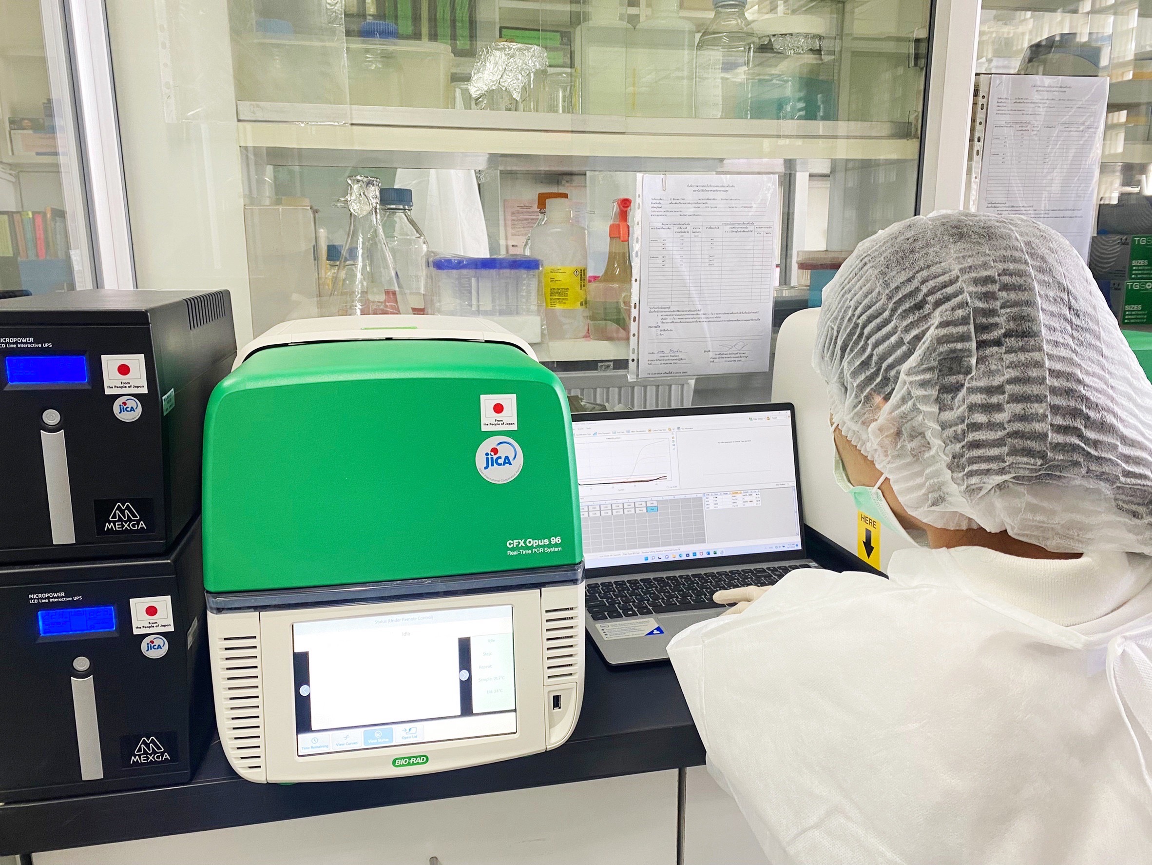 กรมวิทย์ฯ เฝ้าระวังโควิด พบ NB.1.8.1 เพิ่มขึ้น คาดเป็นสายพันธุ์หลักในไทย