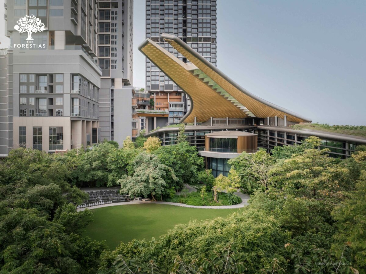 MQDC ปลื้ม SCB ปล่อยกู้ 22,000 ล้านโปรเจ็กต์ยักษ์ ‘เดอะฟอเรสเทียส์’