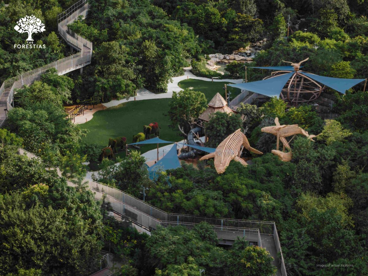 MQDC ปลื้ม SCB ปล่อยกู้ 22,000 ล้านโปรเจ็กต์ยักษ์ ‘เดอะฟอเรสเทียส์’