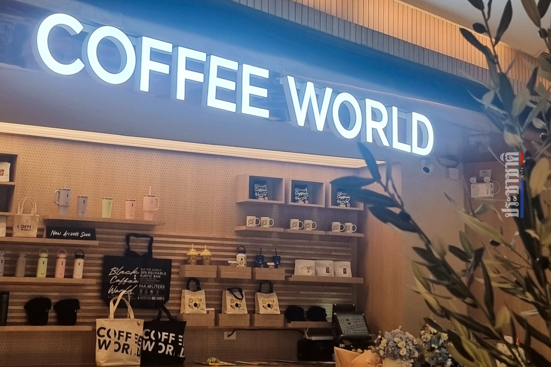 รีวิว Coffee World CW Tower แฟลกชิปแห่งใหม่ ใจกลางรัชดา | ประชาชาติธุรกิจ | LINE TODAY