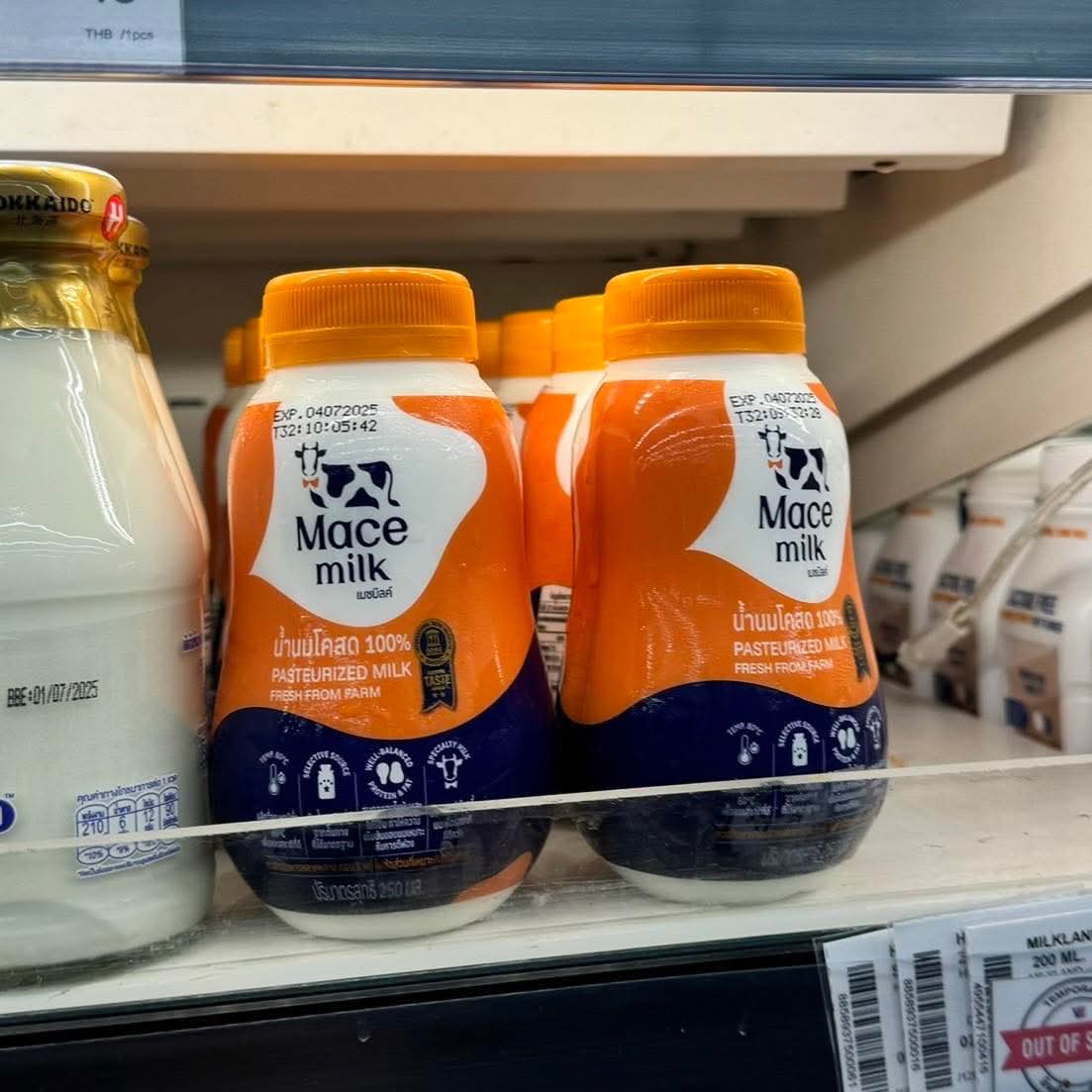 Mace milk น้องใหม่สัญชาติไทย เปิดตลาดนมสเปเชียลตี้